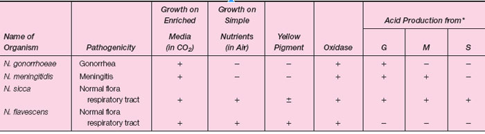 Neisseria Gonorrhoeae In Hindi